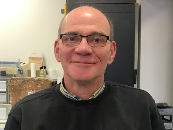 Tagesspiegel Newsletter | Charlottenburg-Wilmersdorf 15.2.2019